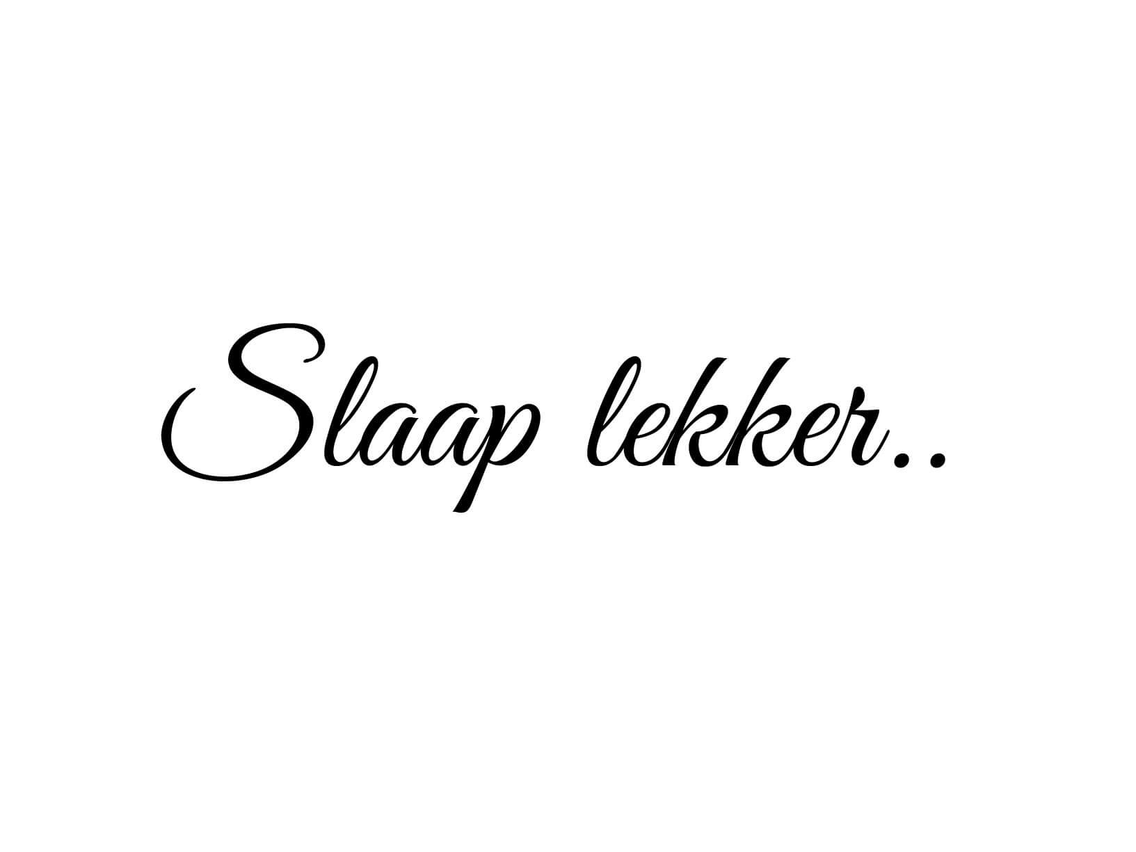 Muursticker "Slaap lekker.."